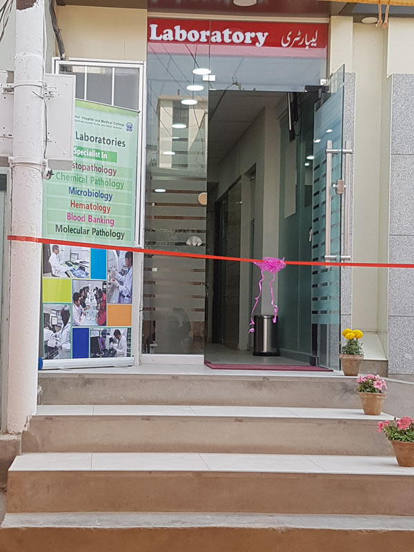 (Back to Photo Gallery)